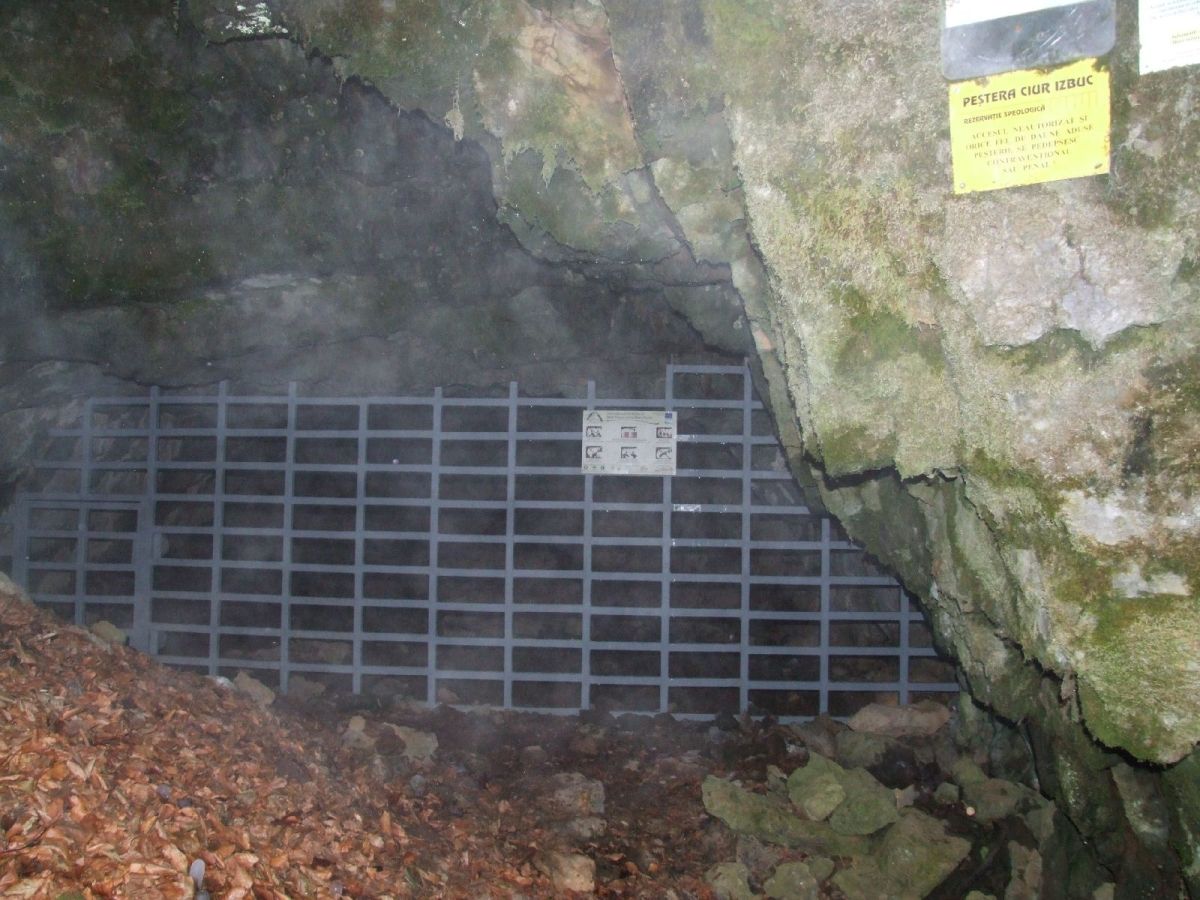 Urmele plantare din peștera Ciur – Izbuc, cele mai vechi din Europa ...