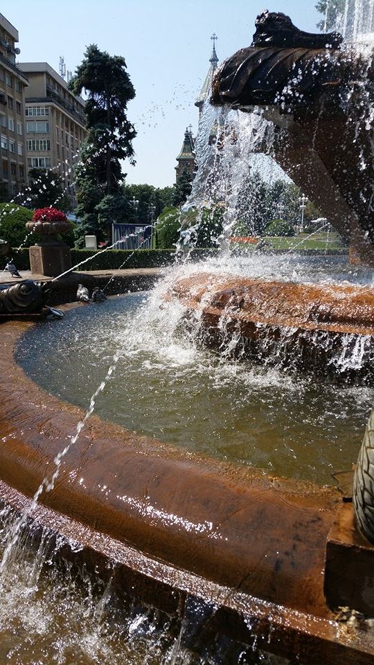 Vreme caldă cu temperaturi de 34 de grade, în vestul țării. Prognoza ...