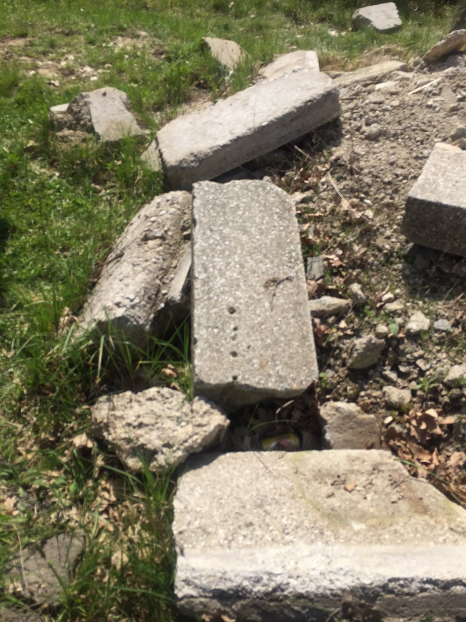 FOTO / Treptele Catedralei din Timișoara, pe care au murit primii ...