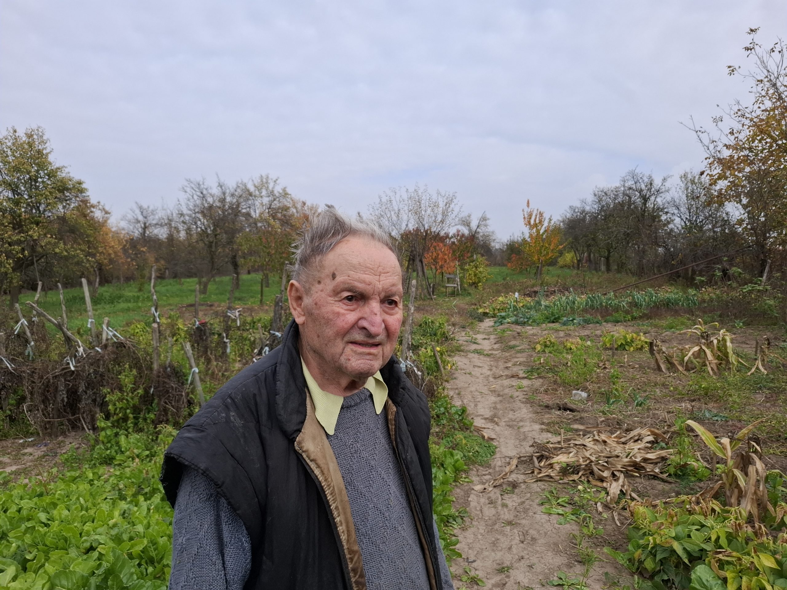 Povestea celui mai vârstnic inginer agronom din Timiș. La 96 de ani se ...